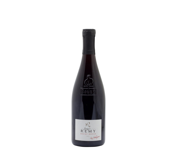 Champagne Georges Remy Bouzy Rouge les Vaudayants 2014 - Eurocentric Wine